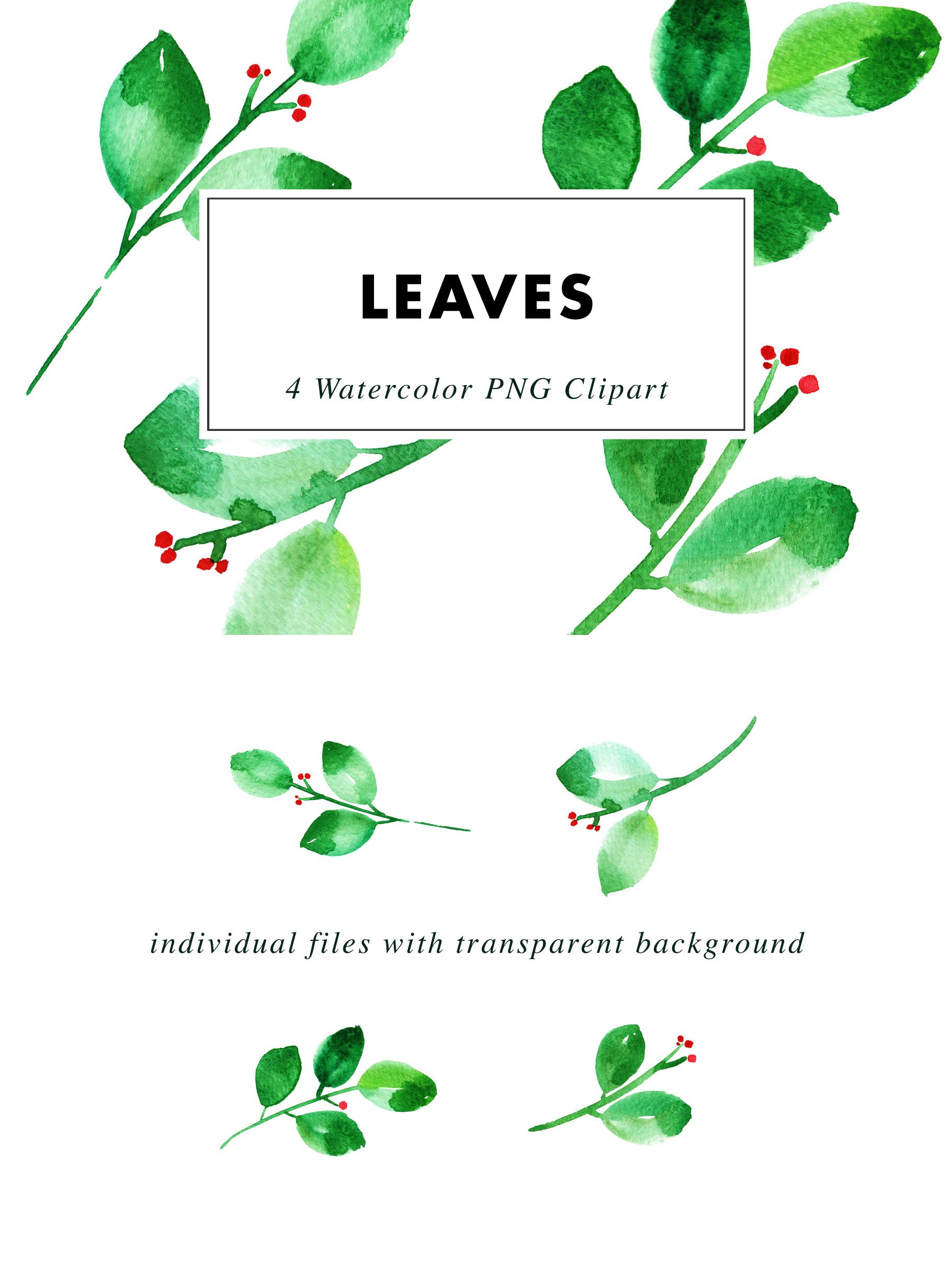 Watercolor leaves | Clipart PNG Illustrations (945872)