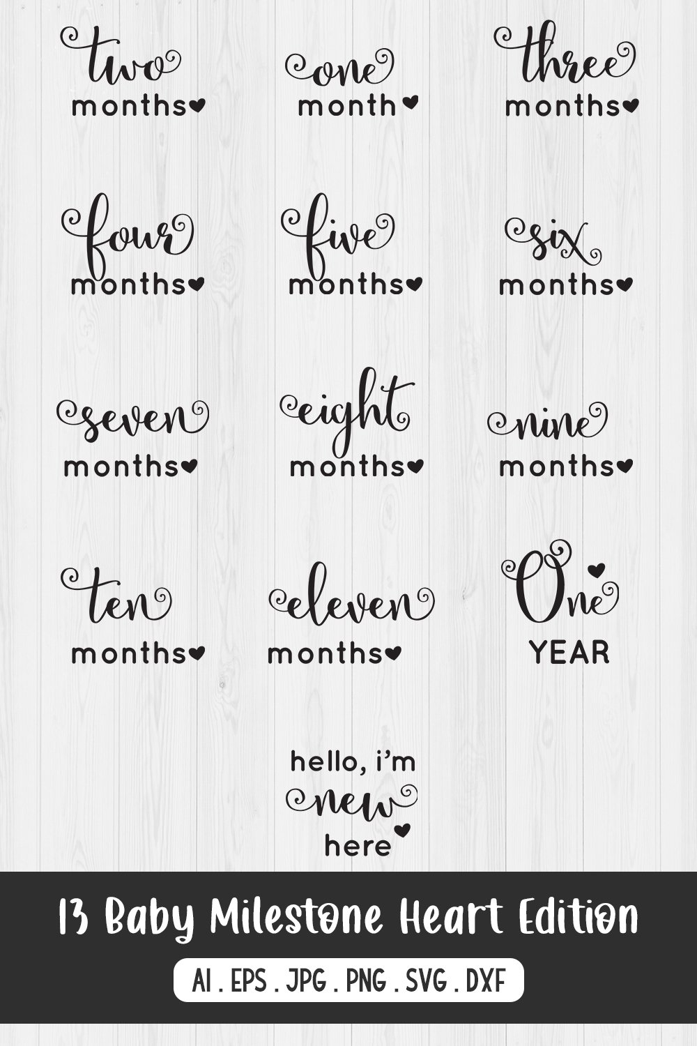 13 set Boho Baby Milestone SVG with feather ornaments