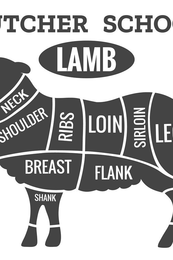 Lamb cutting guide for butcher shop