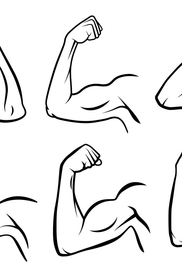 Powerful hand muscle. Strong arm muscles, hard biceps and ha