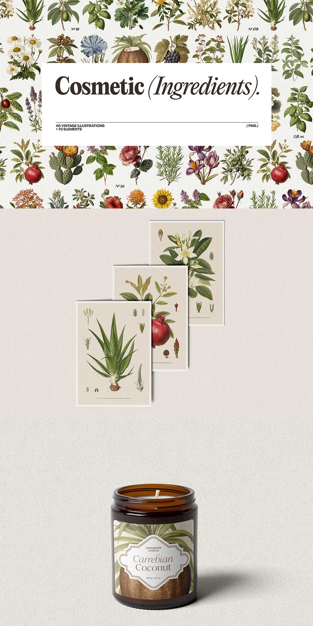 Cosmetic Ingredients - old botanical illustrations (2608866)