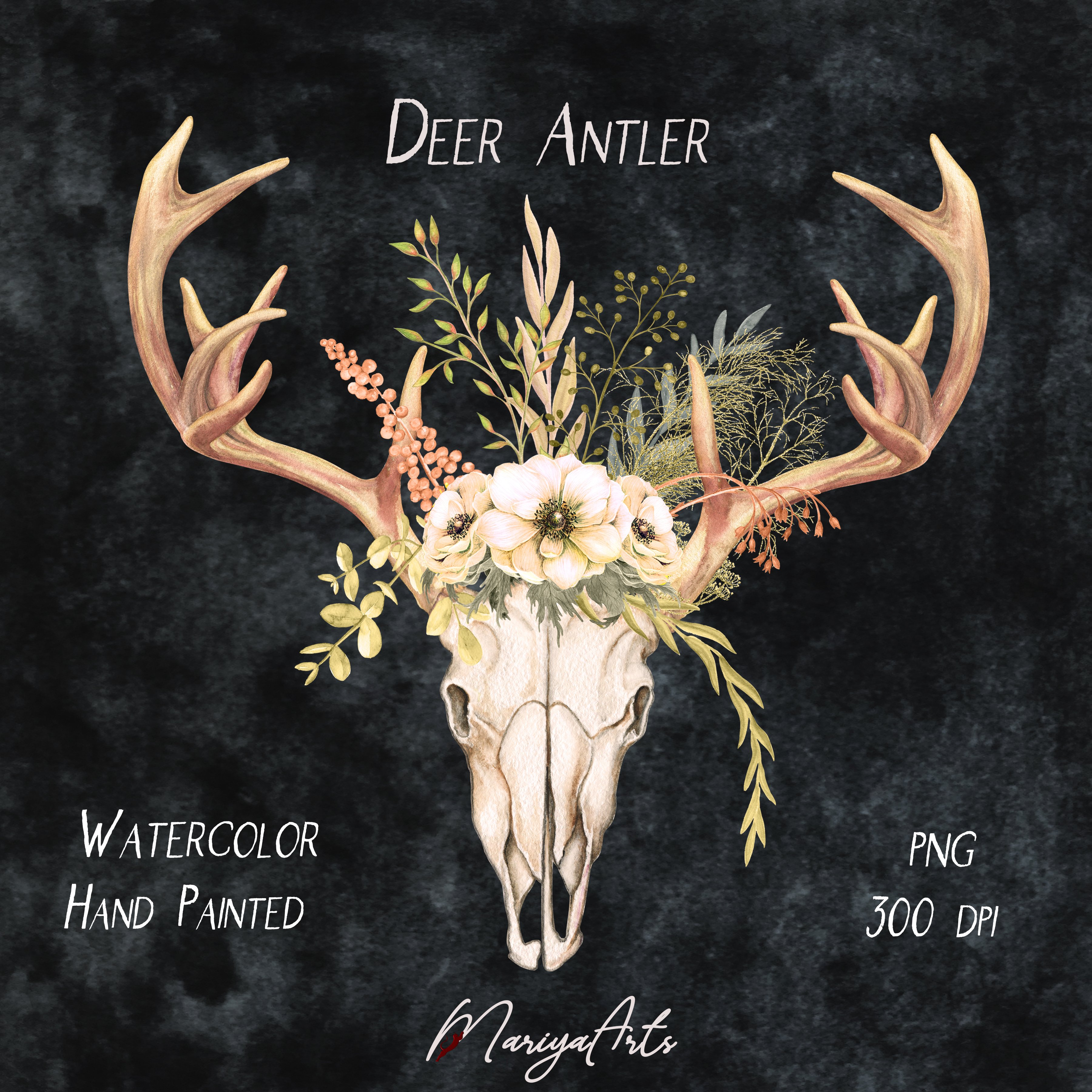 Deer Antlers & Skull, Watercolor Field Flowers, CLipart PNG