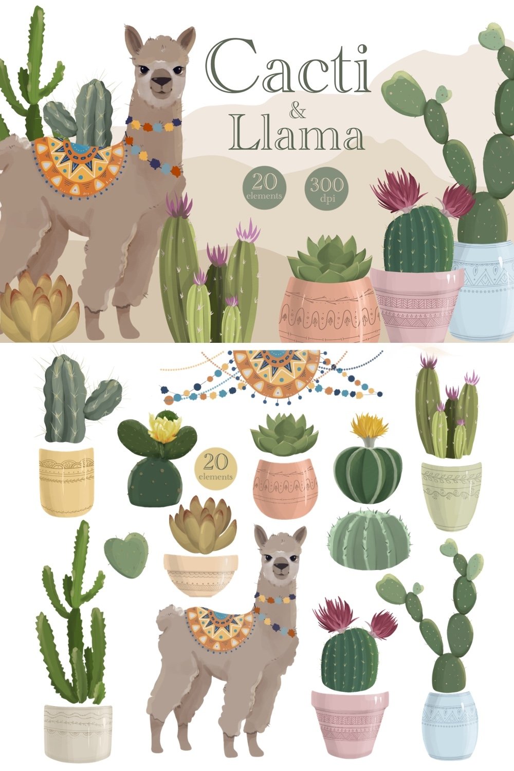 Cacti and LLama Illustration