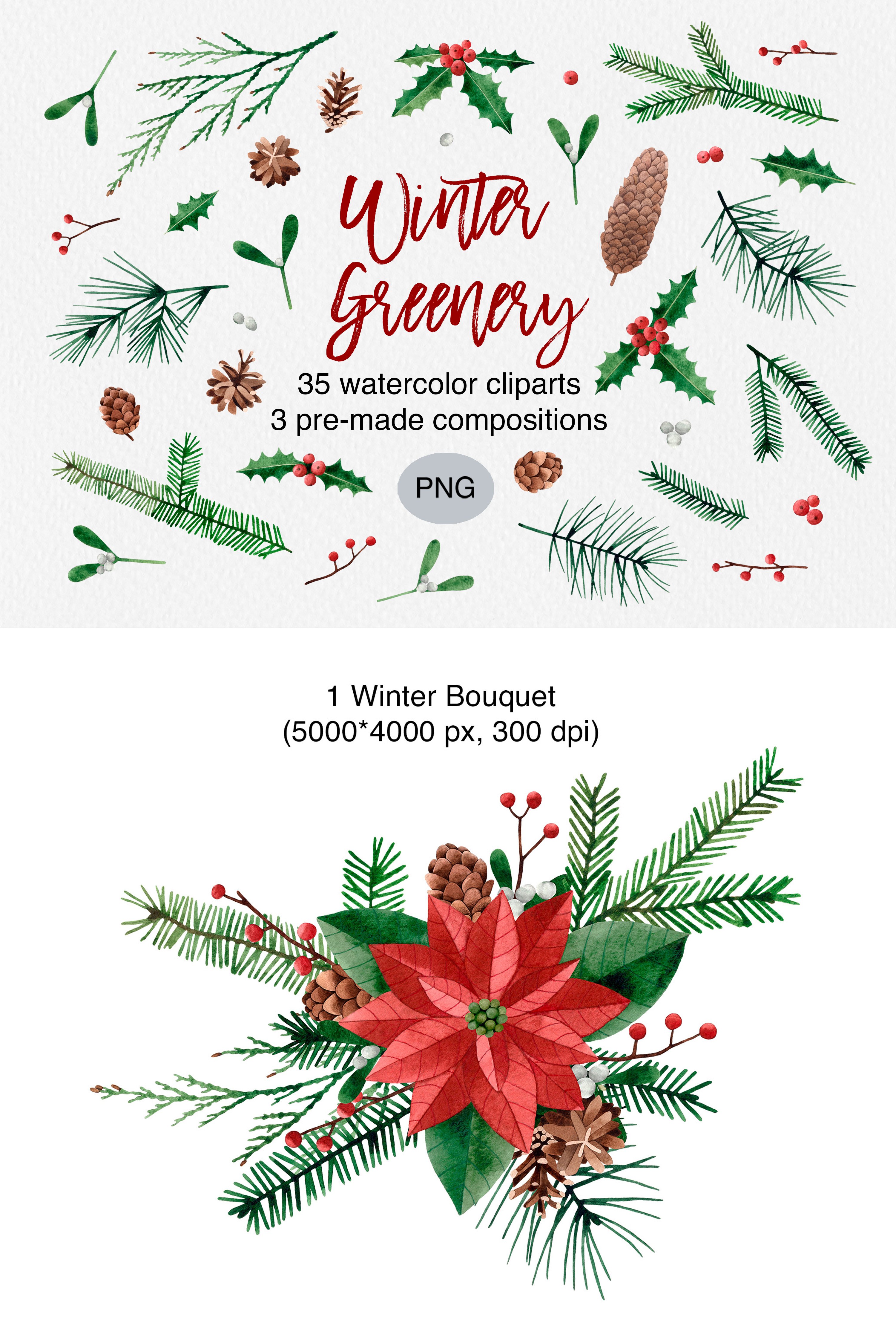 Watercolor Winter Greenery Clipart | Christmas PNG Bundle