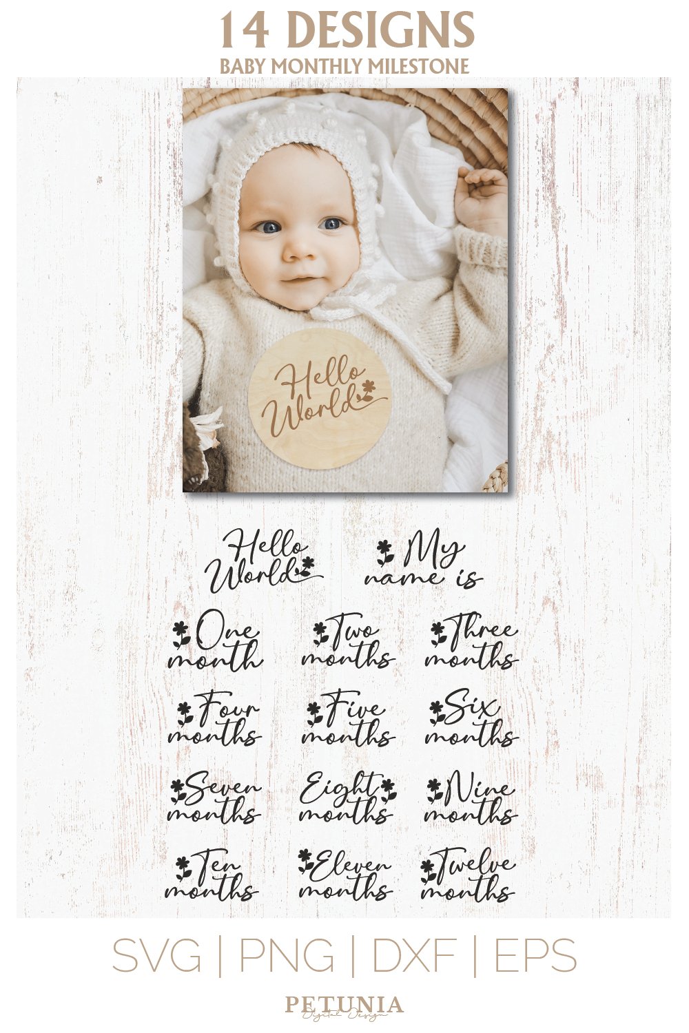 Monthly Baby Milestones Svg Cut File Newborn Sign SVG