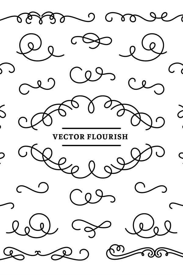 Line flourish ornament swirls. Vintage swirl lines, ornament