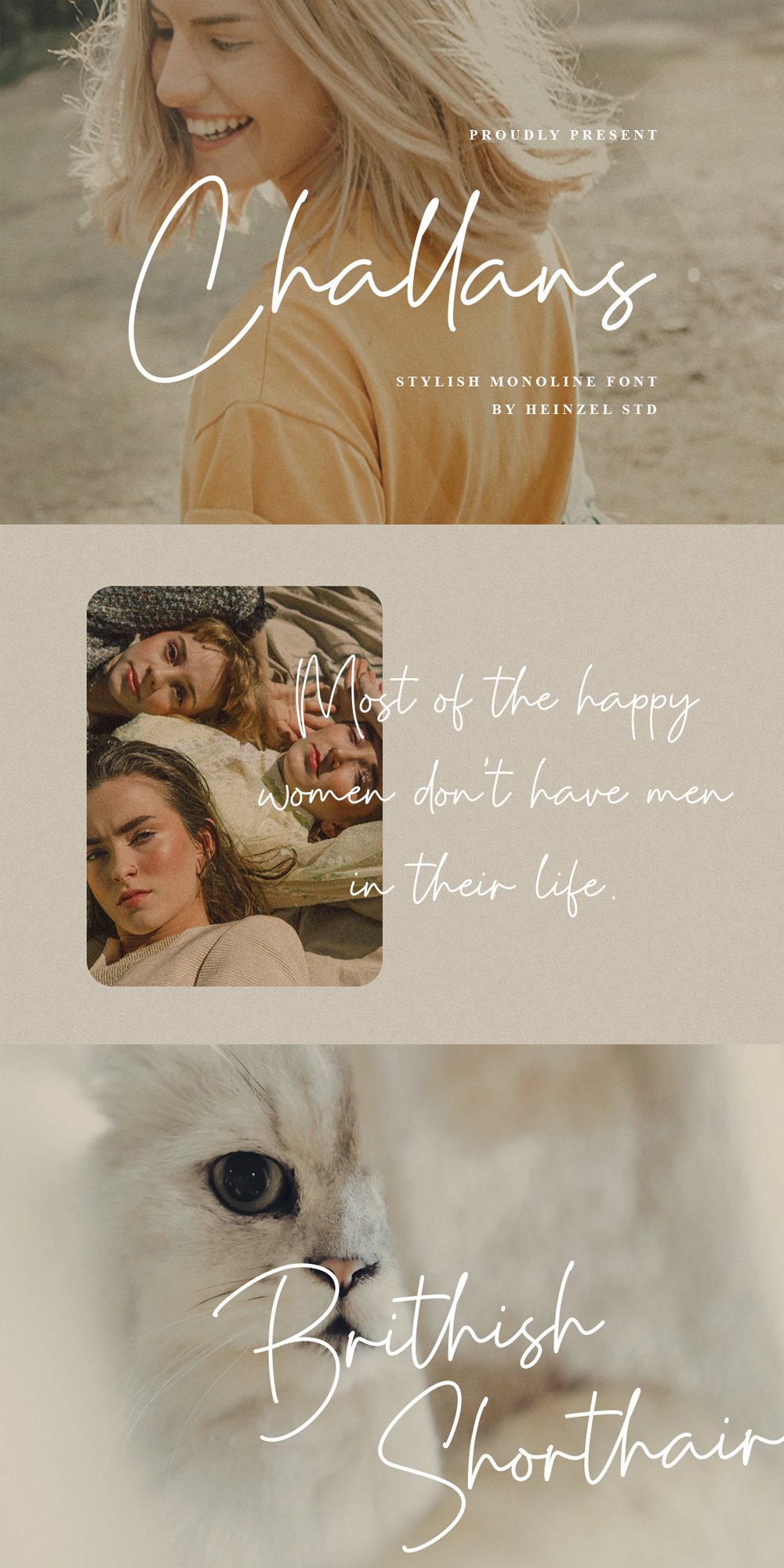 Challans Modern & Elegant Script Font by Heinzel Std