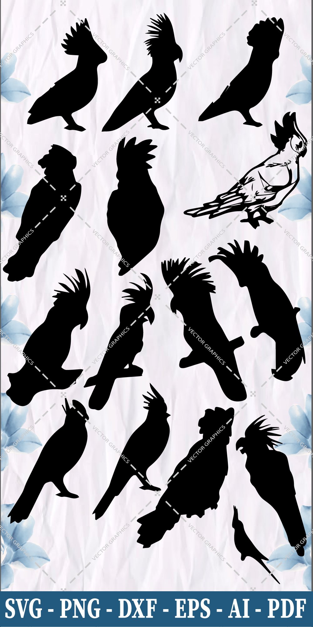 Cockatoo Svg file, Animal Svg bundle design, Cockatoo bird