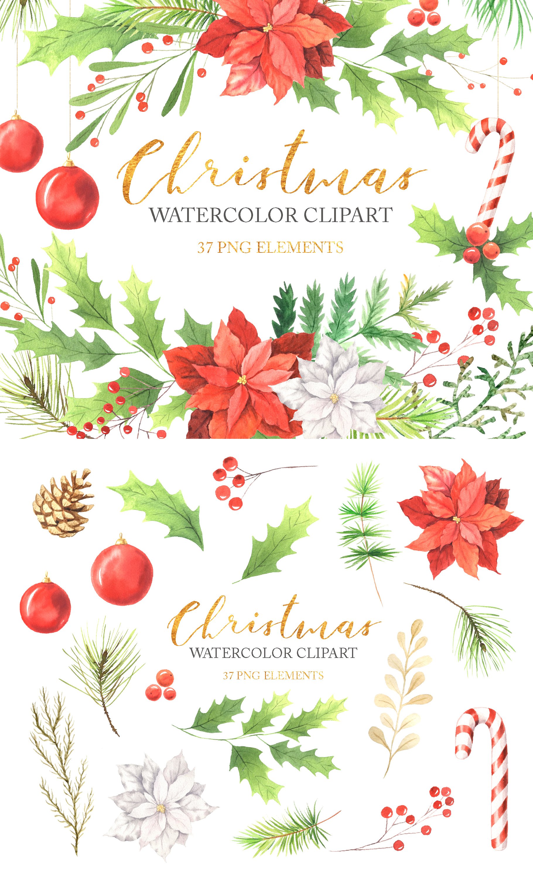 Watercolor Classic Christmas Floral Clipart