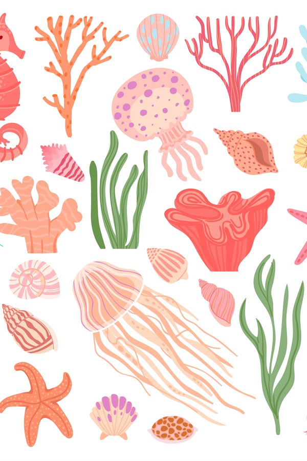 Ocean elements. Cartoon seaweeds, corals, seashells and reef