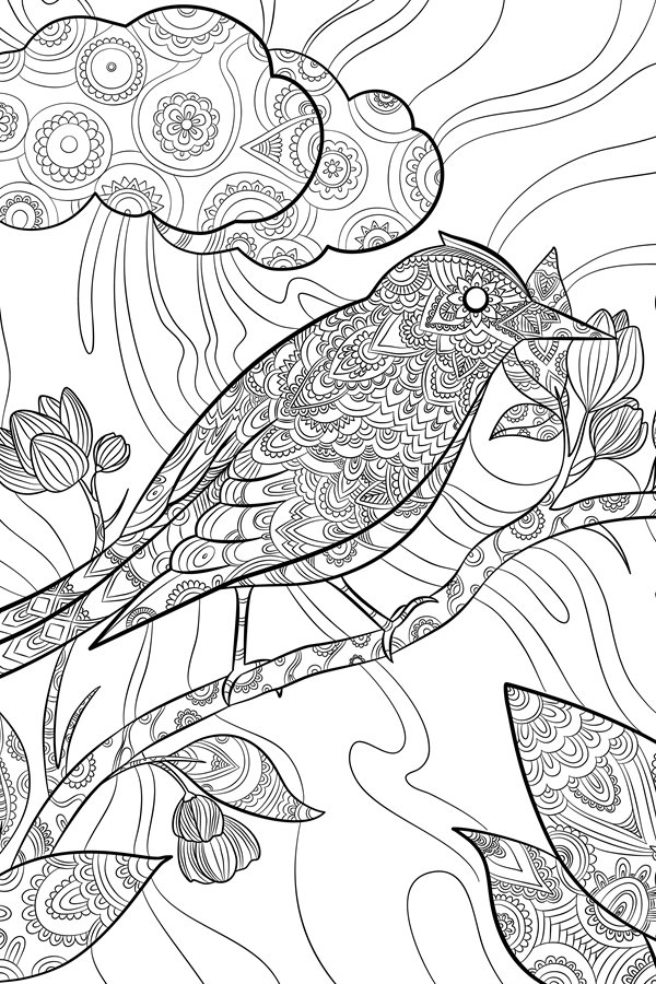Coloring pages bird. Wild flying animal in sitting on branch