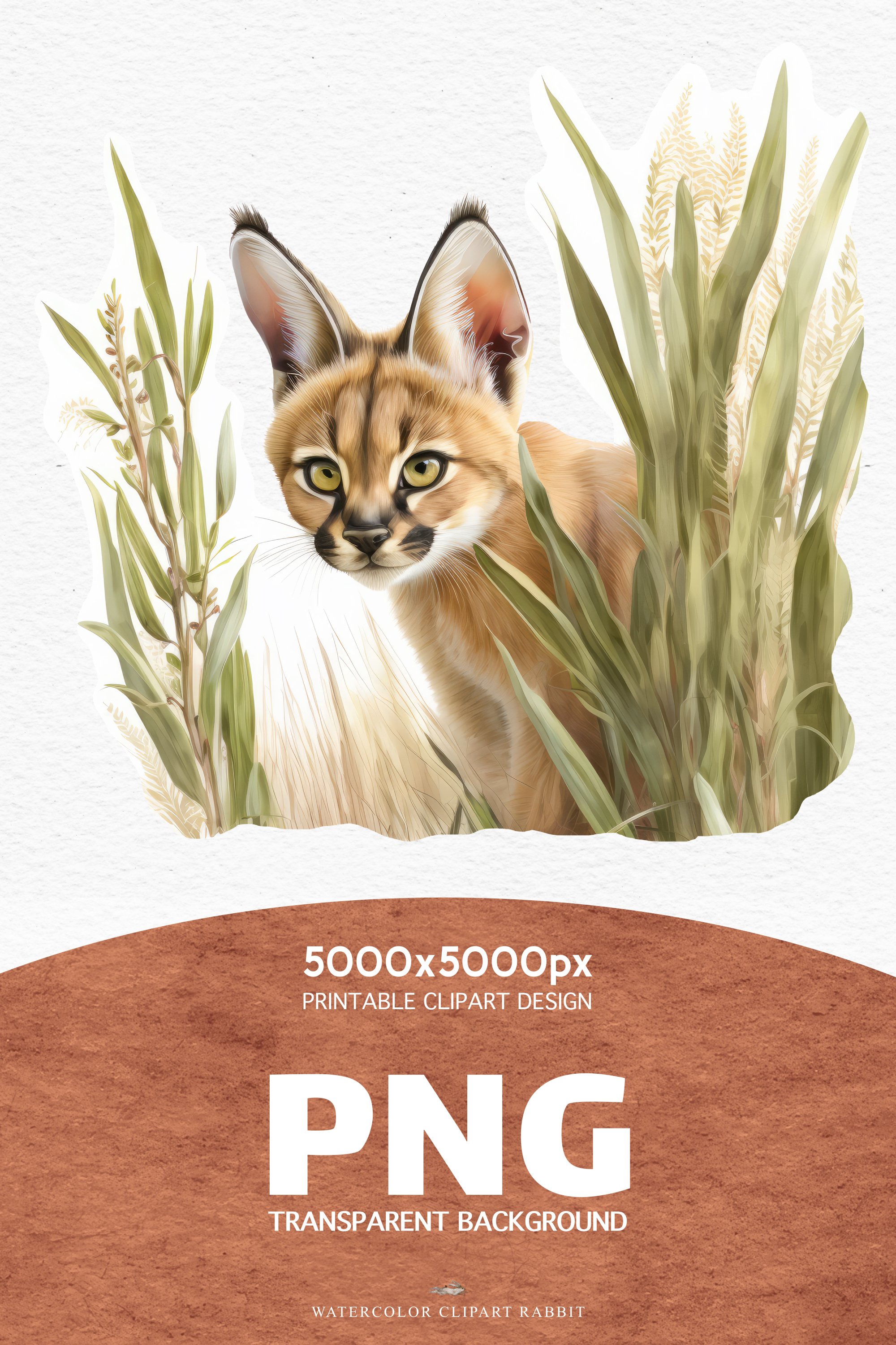 Baby Caracal Safari Animals Clipart Savanna Cats PNG Art