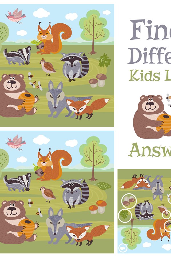 Find differences educational kids game with forest animal ch
