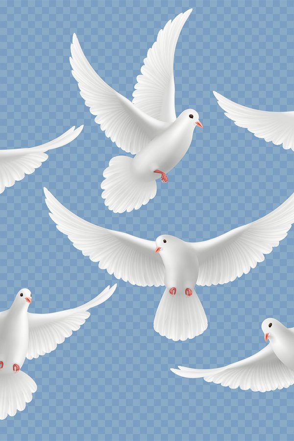 Realistic doves. White freedom flying birds pigeons religion