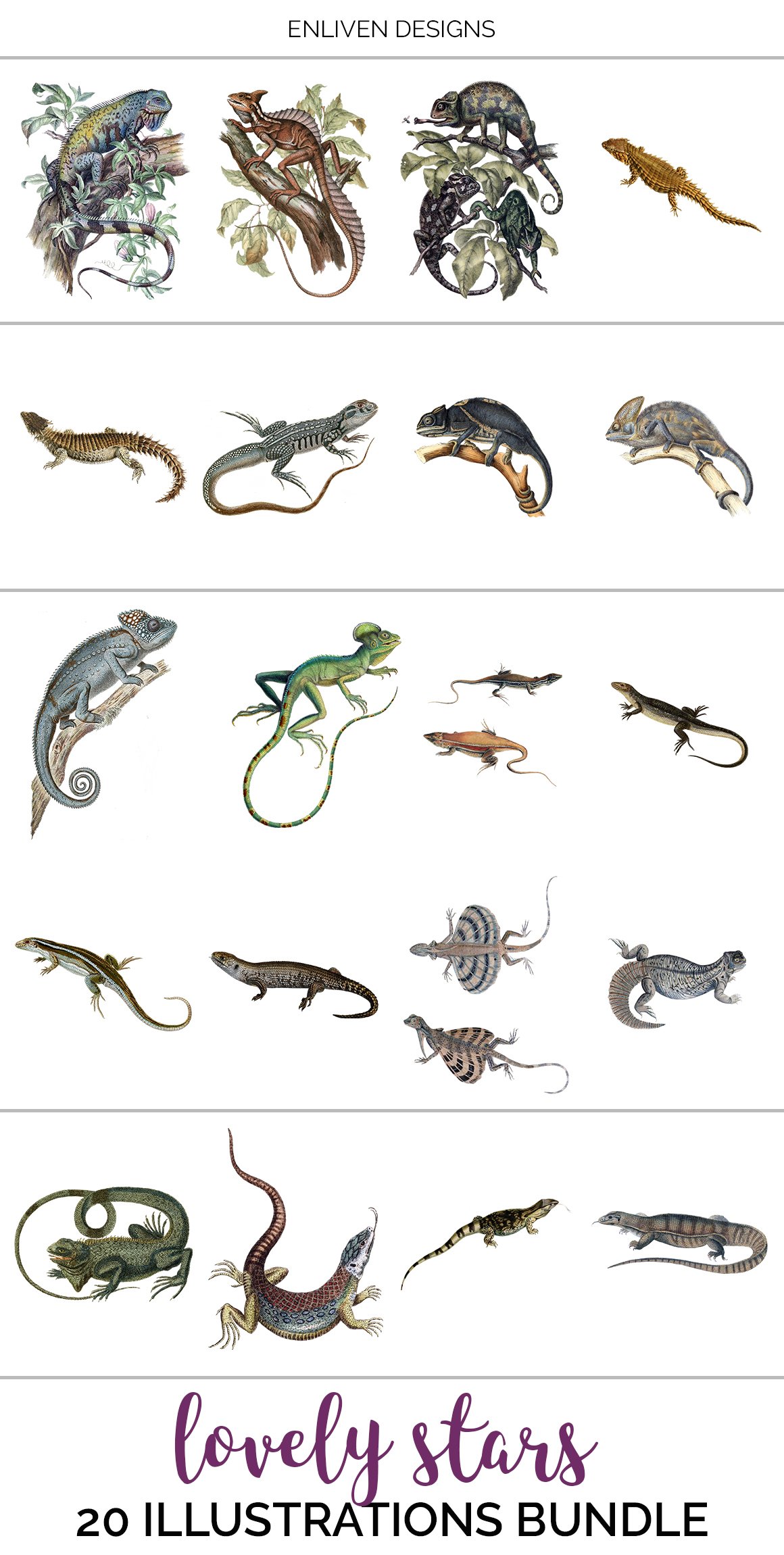 Lizard Bundle Clipart