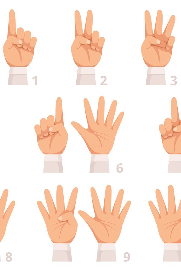 Hands gesture numbers. Human palm and fingers show different