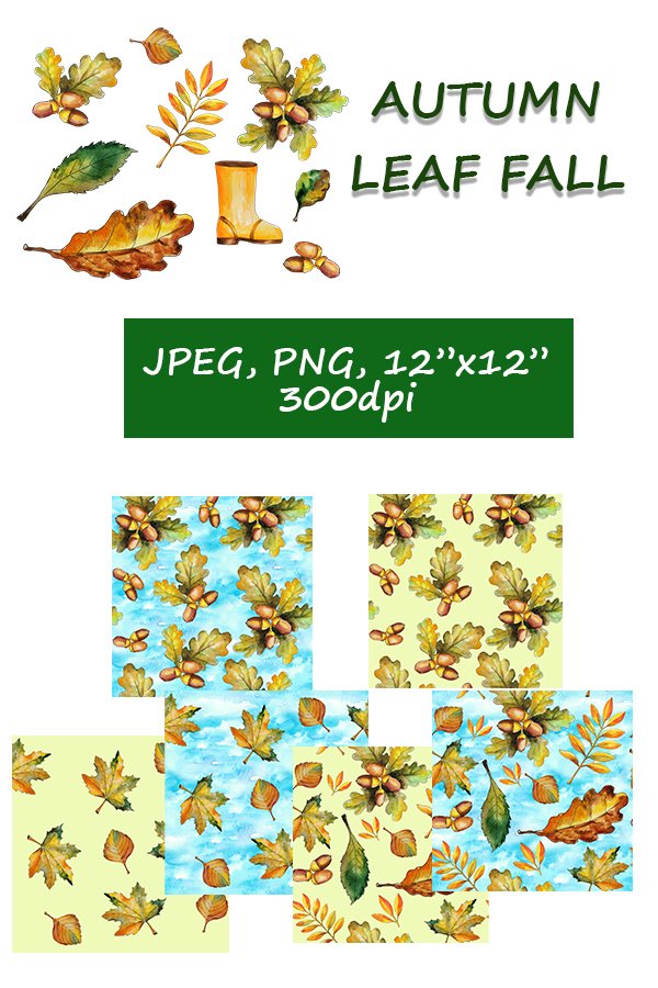 Autumn leaf fall collection 1