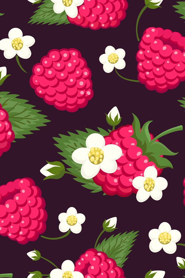Raspberry seamless pattern (1191433)