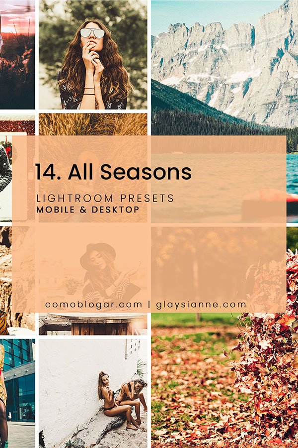 14. All Seasons - Lightroom Presets (817139)