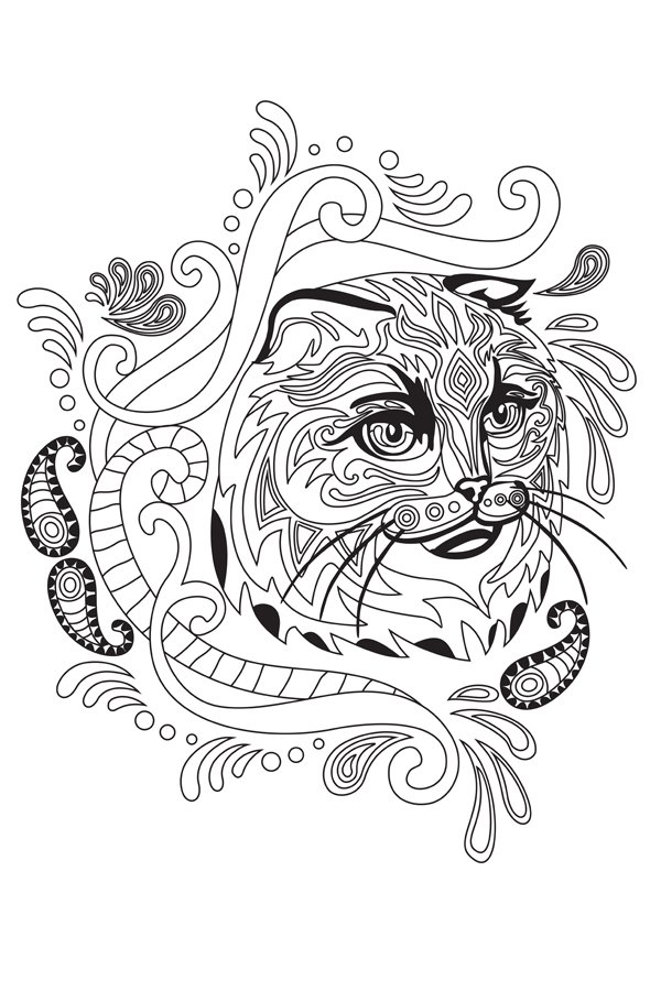 Coloring page for adult tangled gorgeous cat