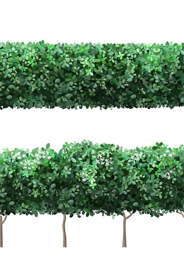 Realistic garden plant fence. Nature green seasonal bushes