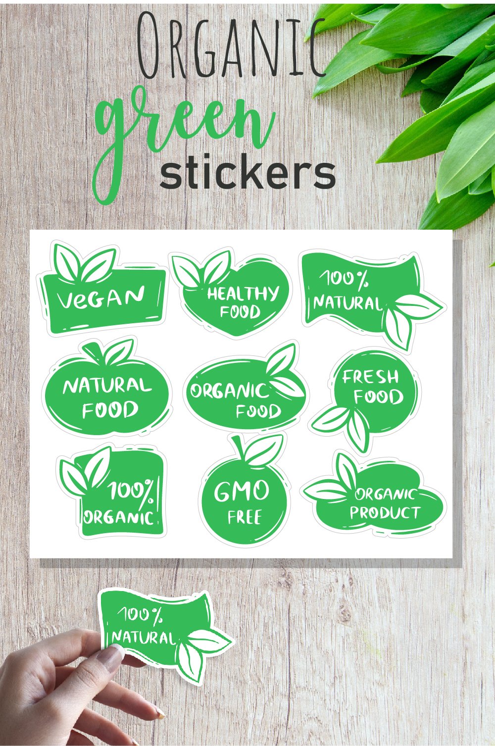 Organic green stickers. Natural food labels set. Eco stamps