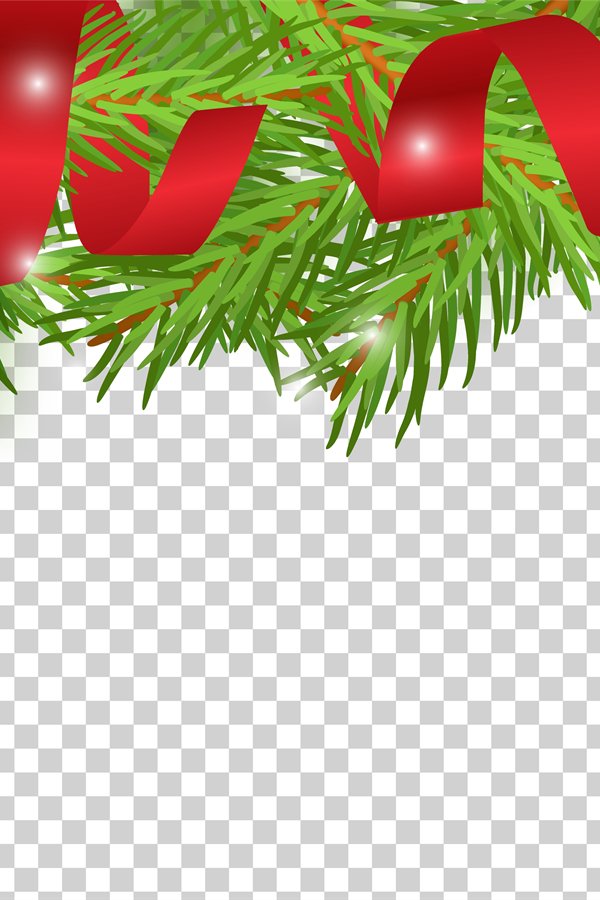 Christmas banner. Red ribbon, Christmas tree branches vector