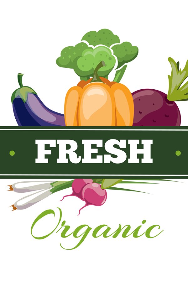 Natural fresh food, vegetables logo badge vector (821145)