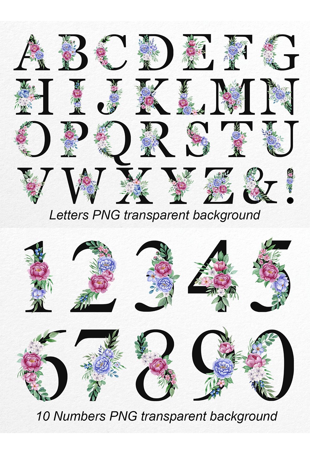 Alphabet with watercolor flowers, letters, (1972416)