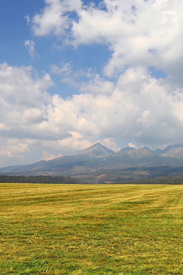 Landscape with Mountains over Field