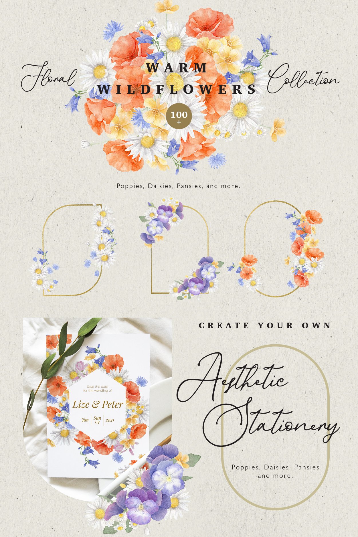 Field flowers and wildflowers watercolor bundle