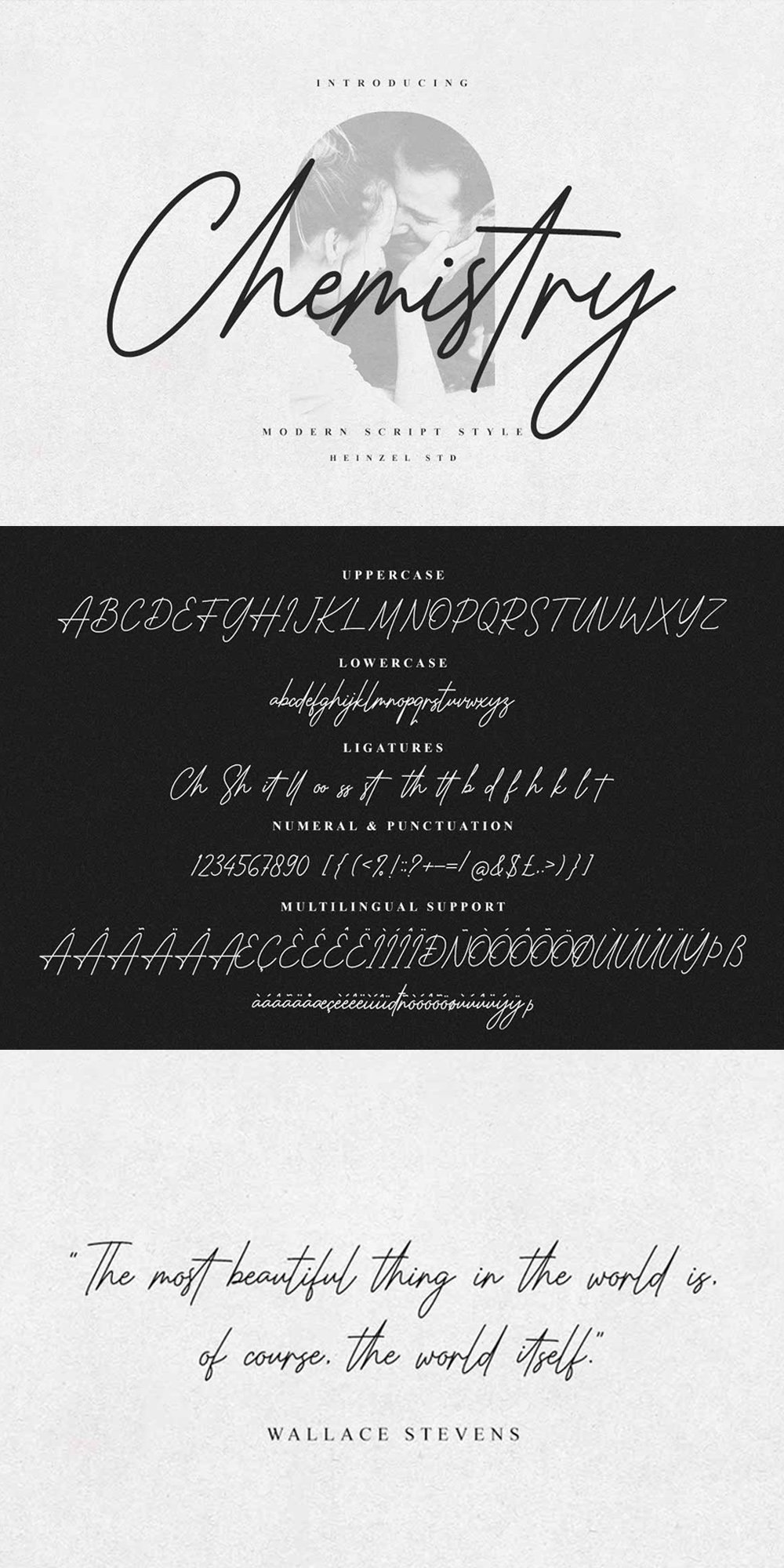 Modern & elegant script font
