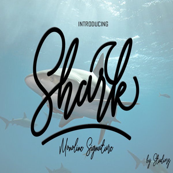 Shark (645974) | Handwritten | Font Bundles