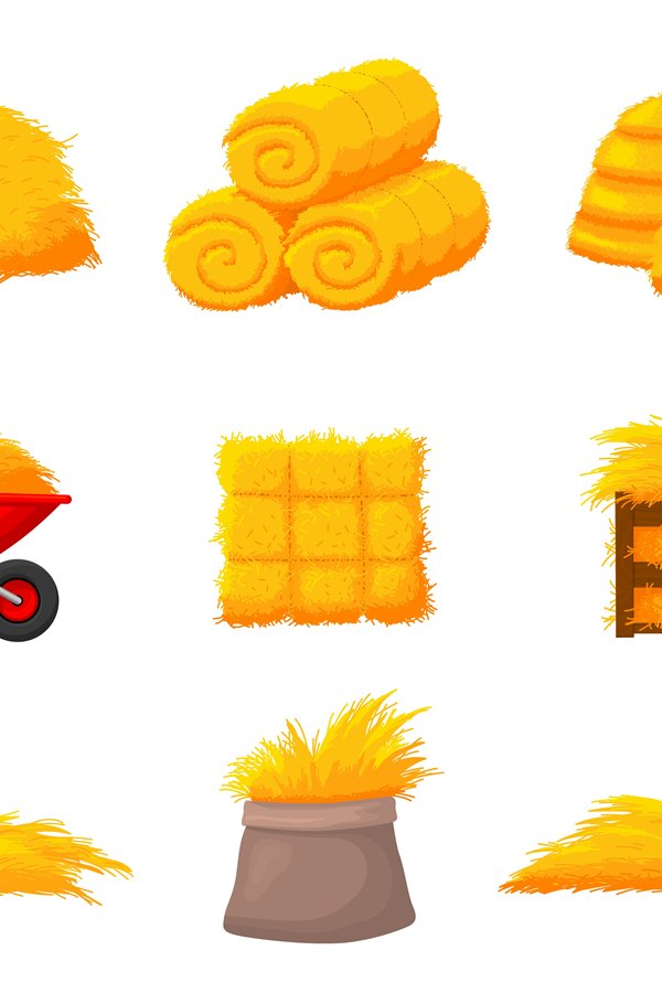 Haystacks. Harvest haystack straw, natural hay. Autumn agric