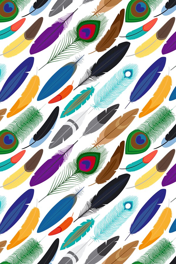 Vector colorful feathers seamless background