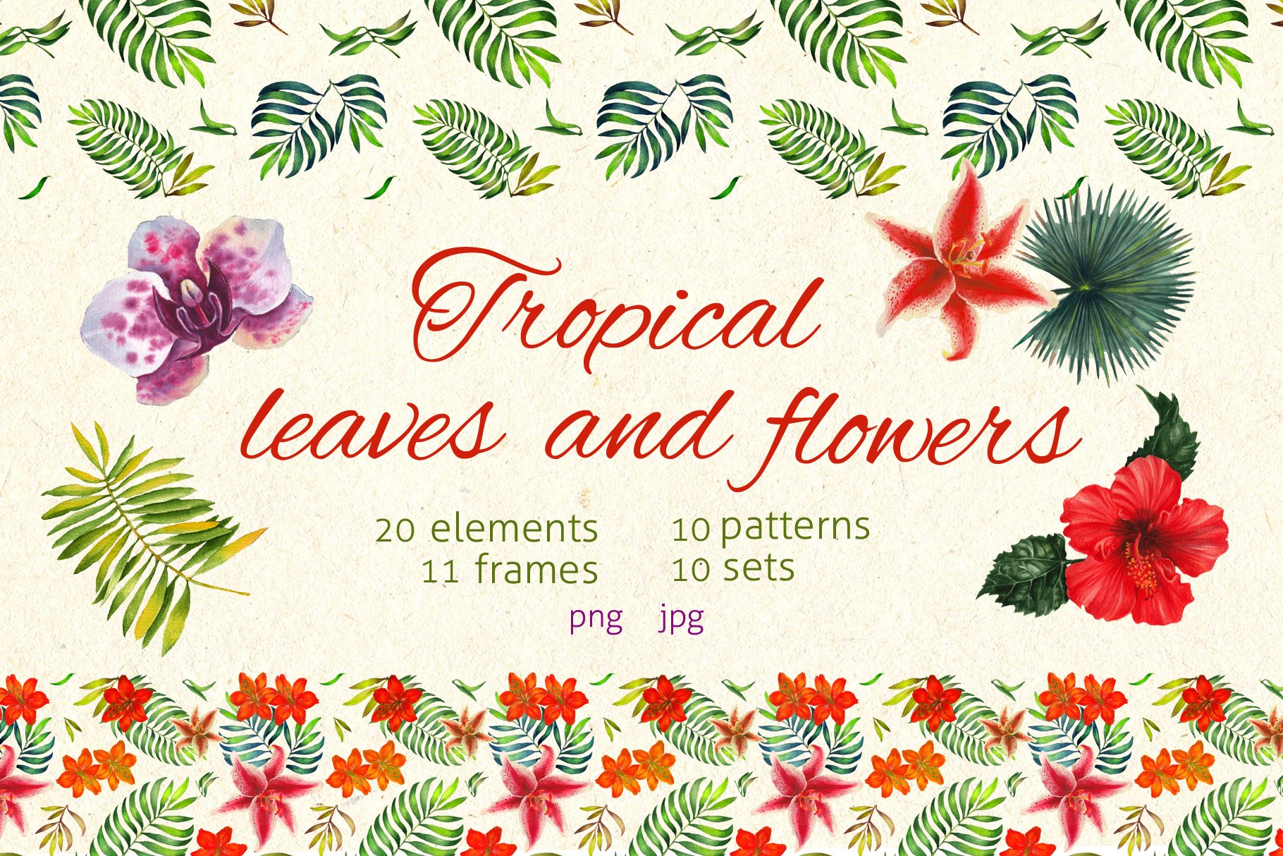 Watercolor illustrations with tropical leaves and flowers