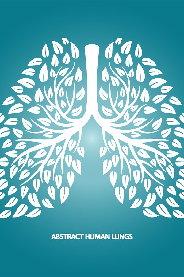 Abstract human lungs from foliage vector background