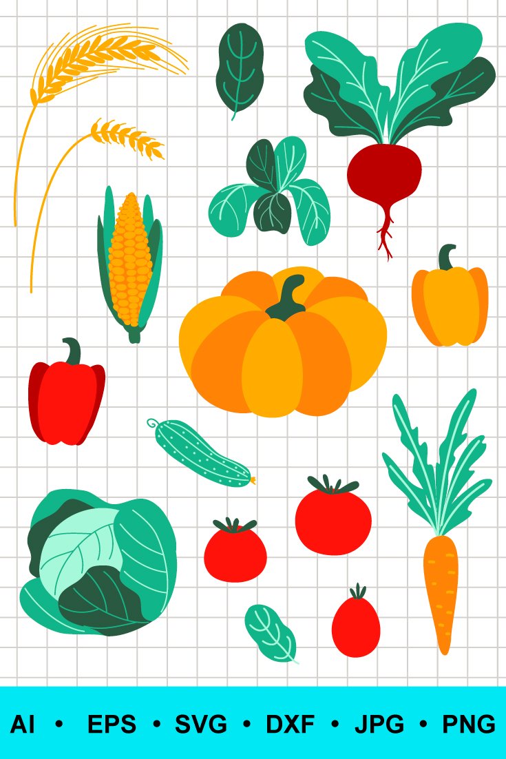 Vector vegetable set