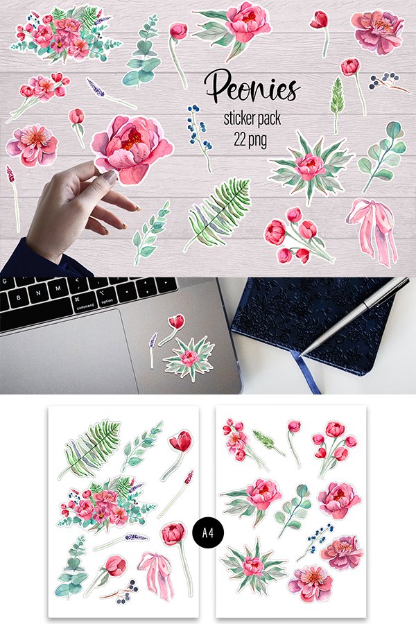 Peonies watercolor - sticker pack