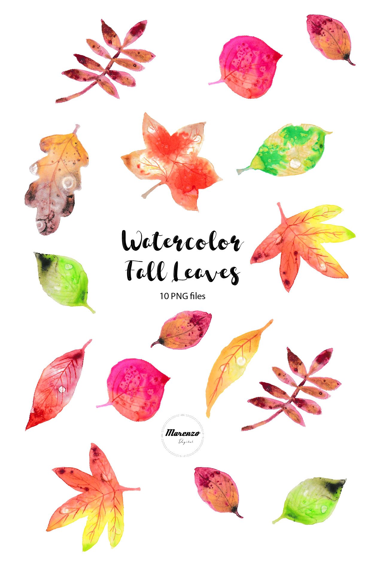 Watercolor Fall Leaves PNG clip art set