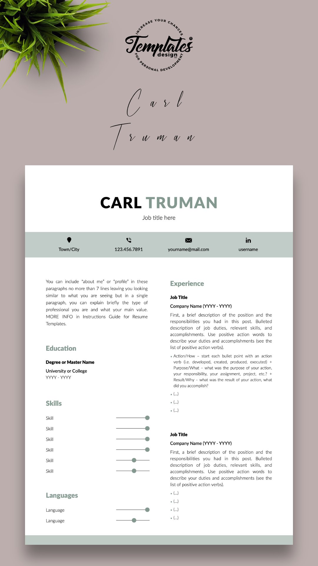 Modern Resume CV Template for Word & Pages Carl (738300)