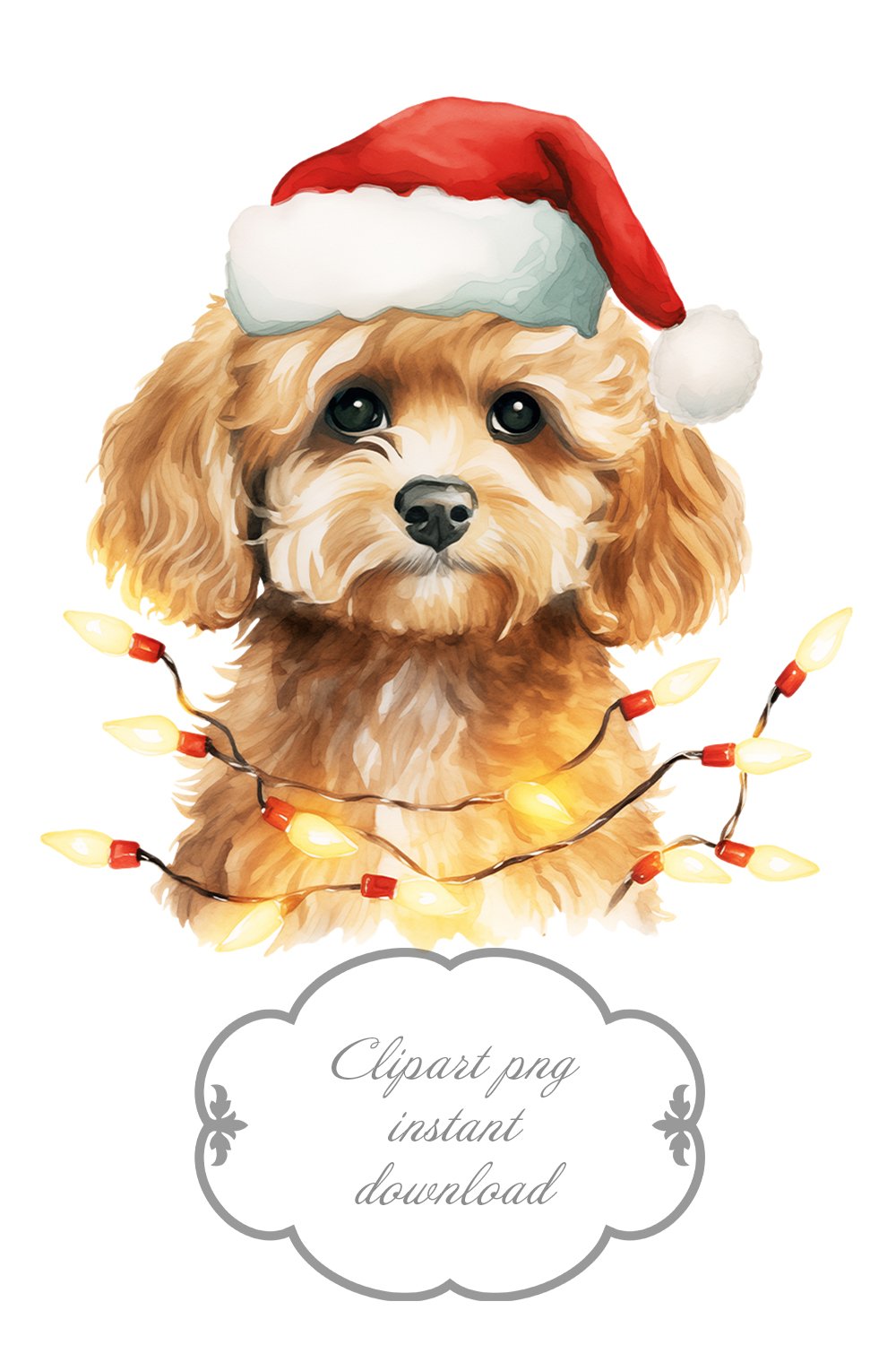 Christmas Cavapoo dog