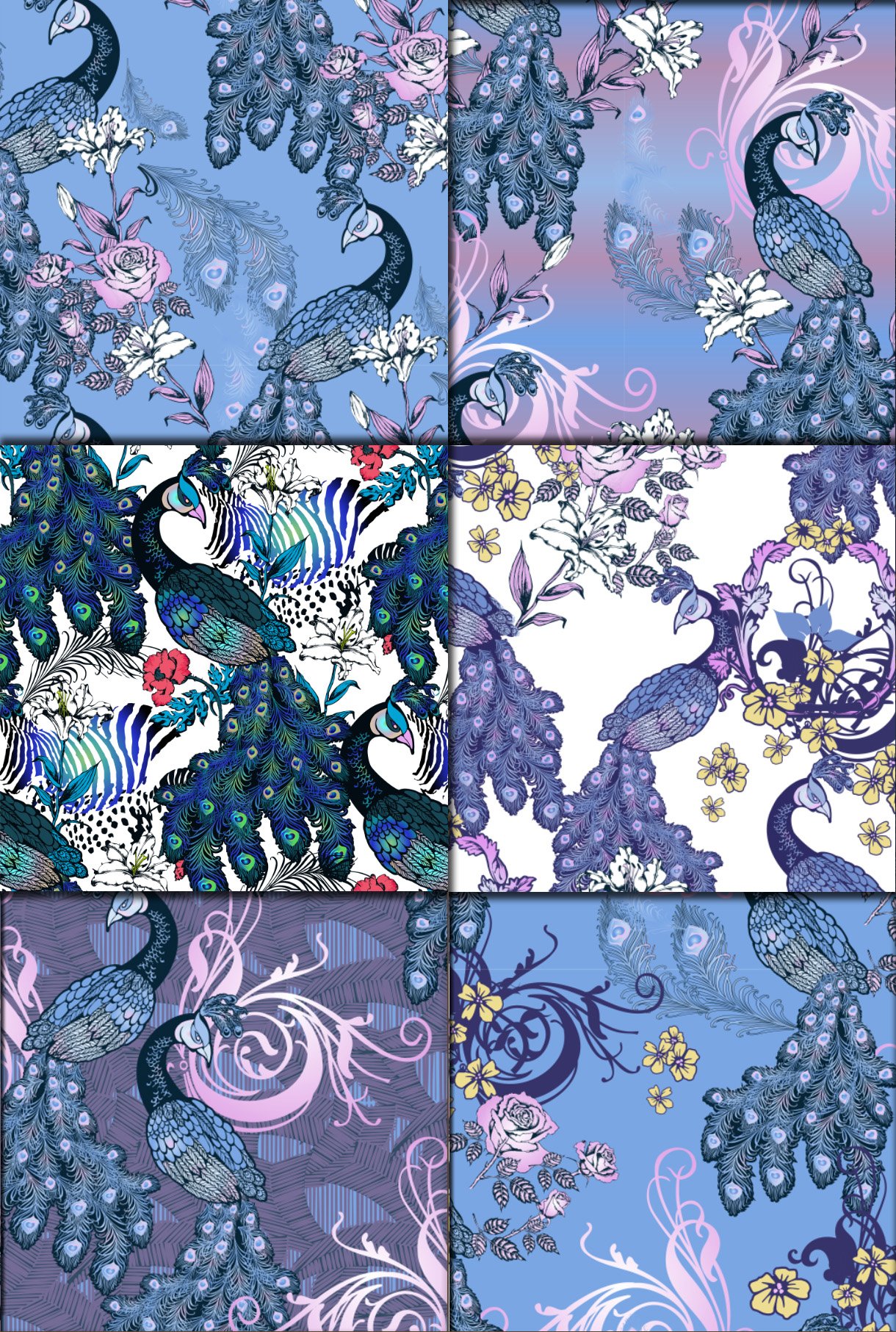 Patterns of peacock.