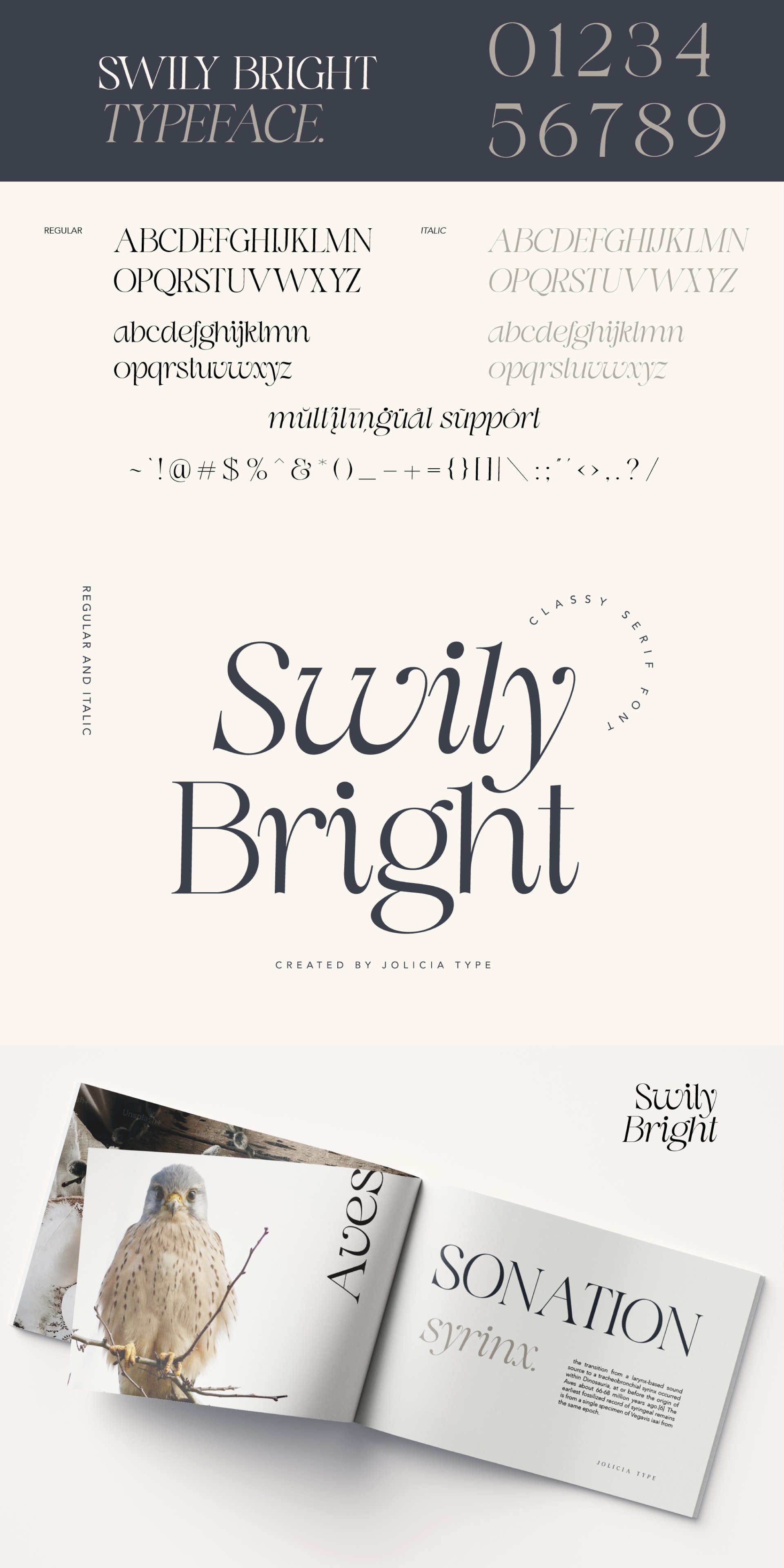 Swily Bright | Classy Font