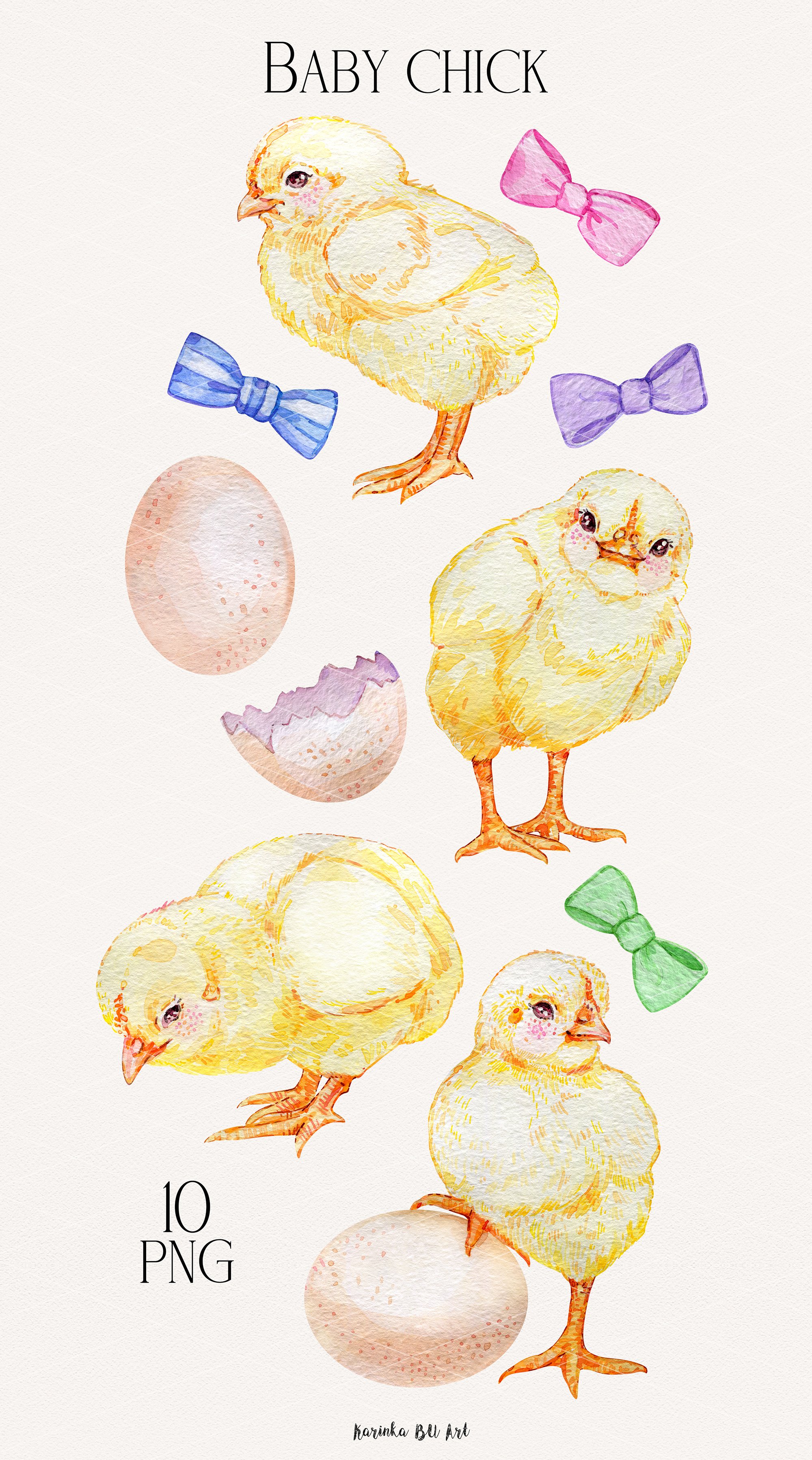 Baby chick Scrapbooking Watercolor clipart Farm bird clipart