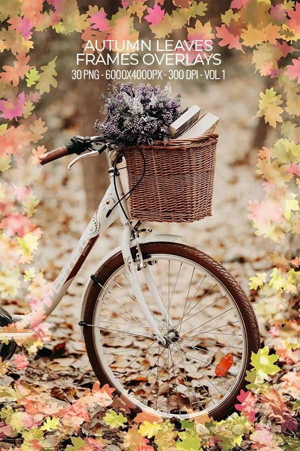 30 Autumn Leaves - Frame Overlays PNG Vol.2