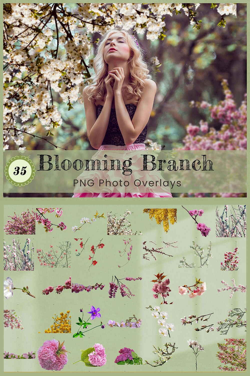 Blooming Branch PNG Overlays Photoshop Editing Backdrops