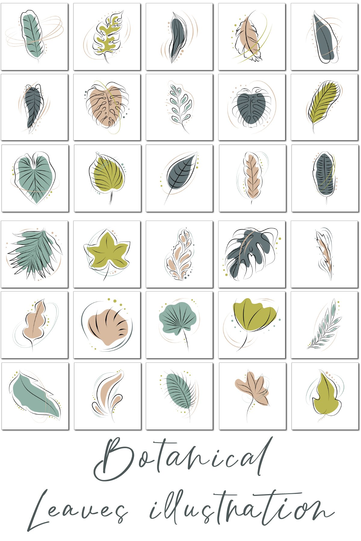 Botanical - leaves illustration and more