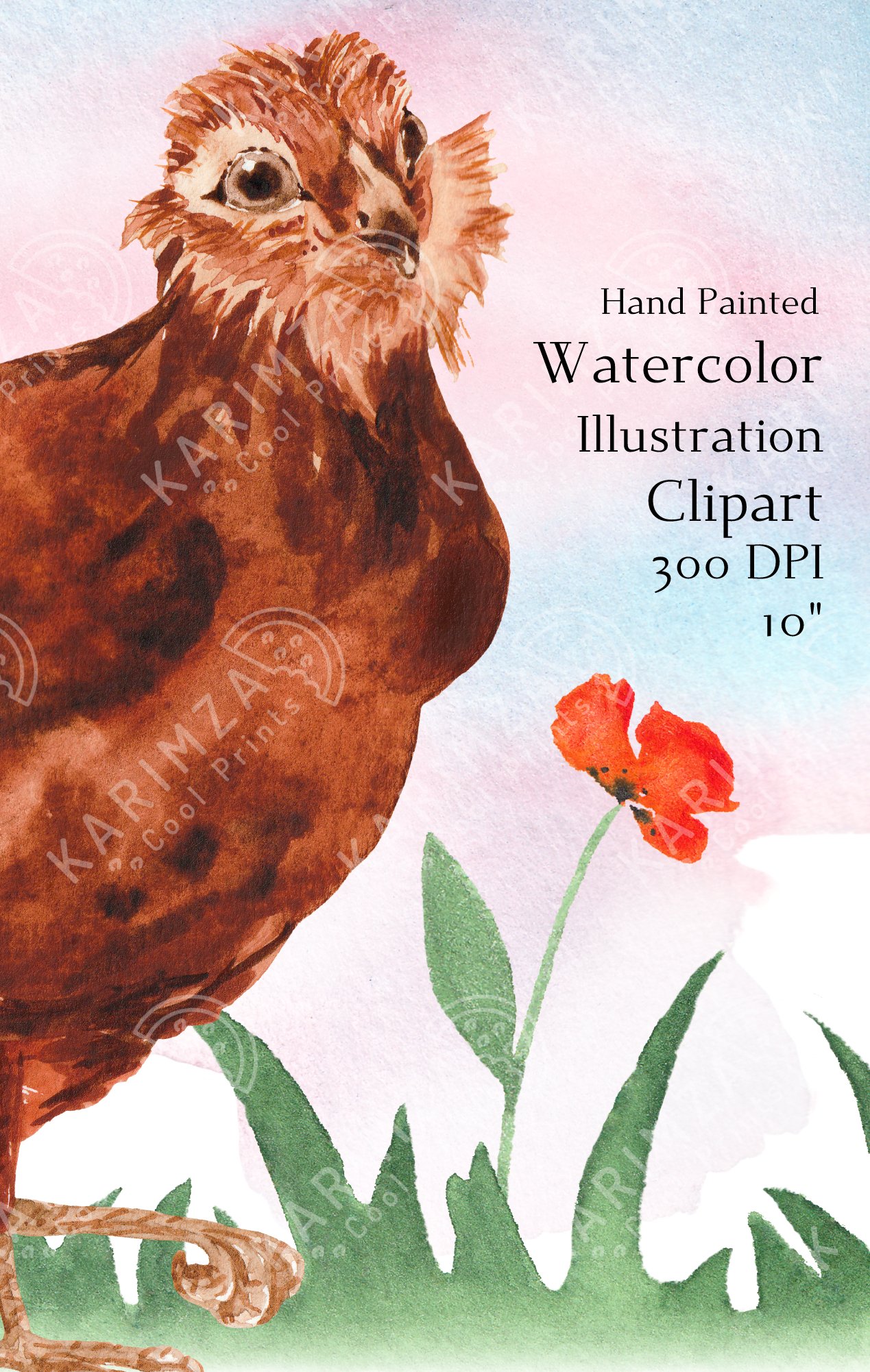 Watercolor Hen Chicken Clipart, Farmhouse clip art