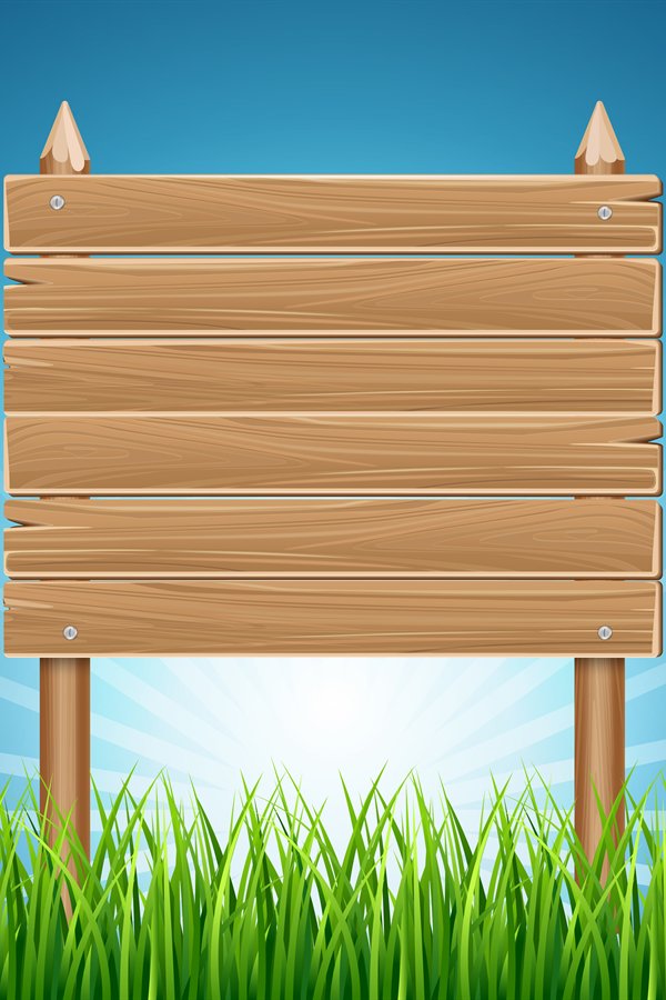 Wooden blank sign board in green grass blue sky